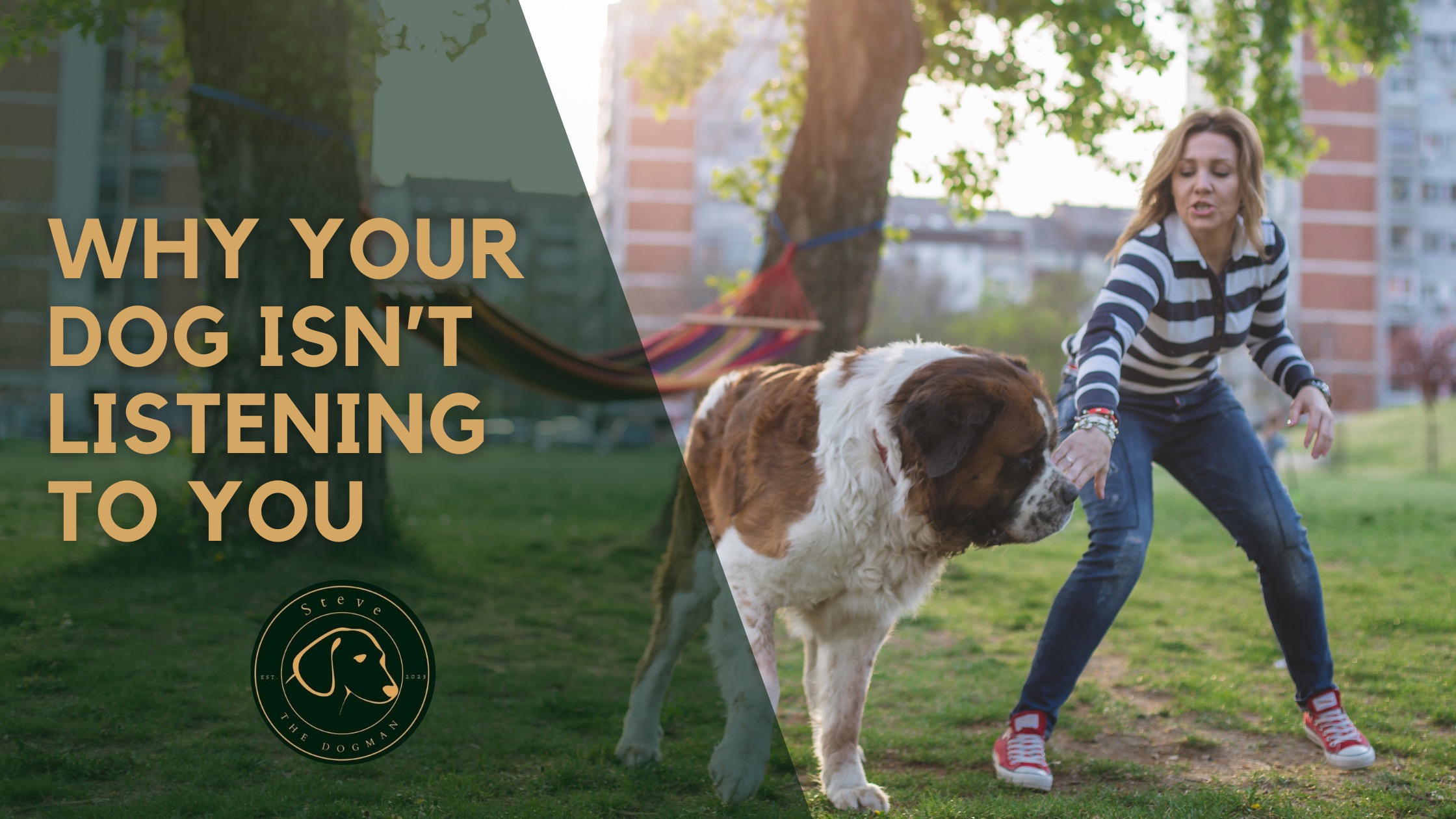 Why Your Dog Isn't Listening To You - Steve The DogMan