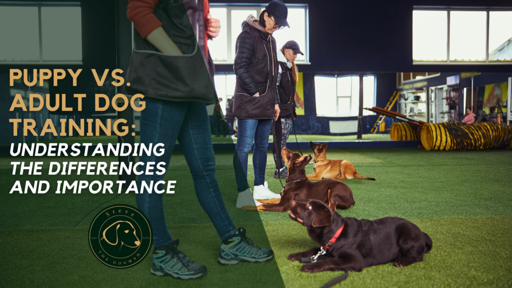 Puppy Training vs Adult Dog Training - Steve The DogMan